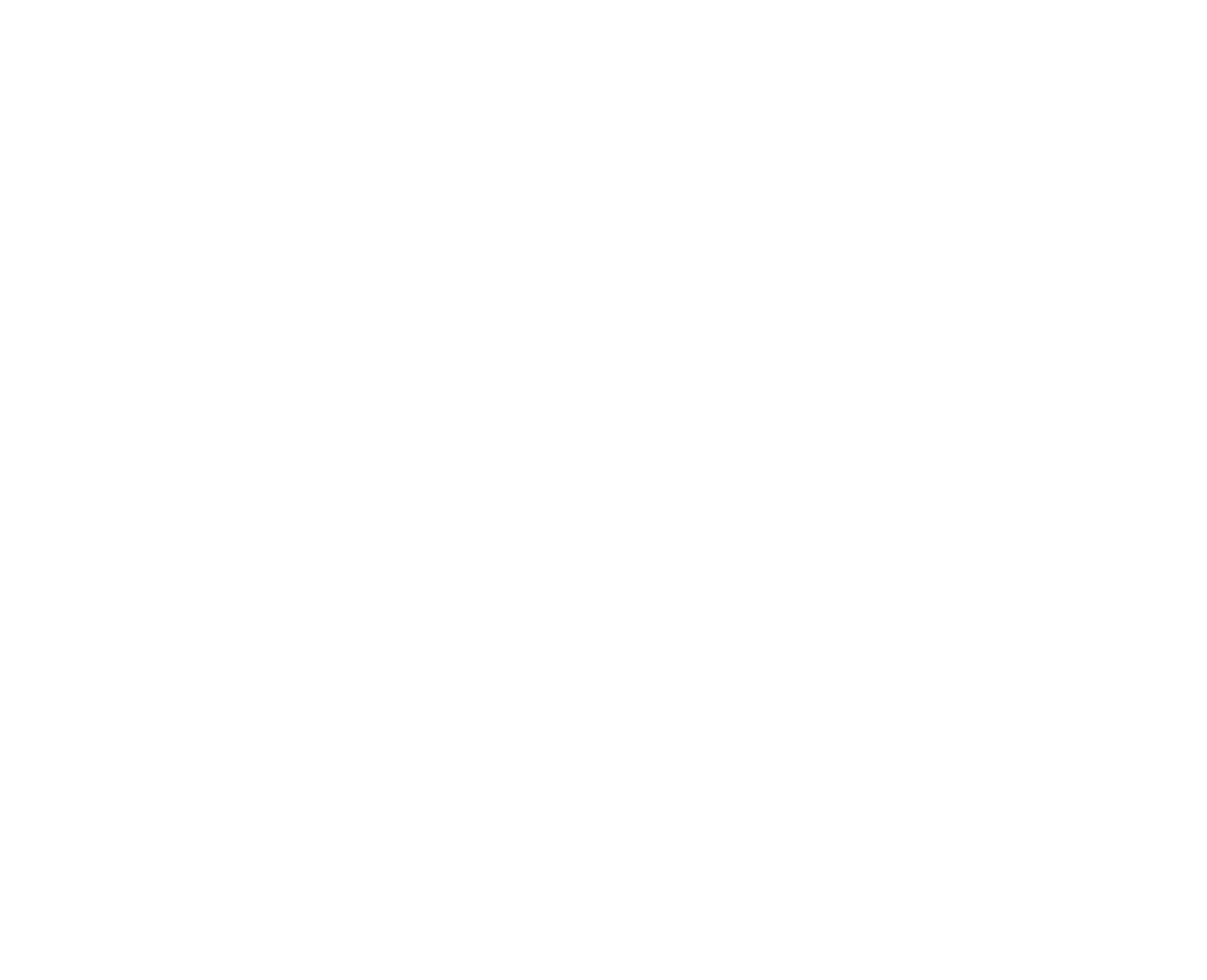 Forbidden Bike Company