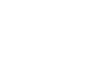 Forbidden Bike Company