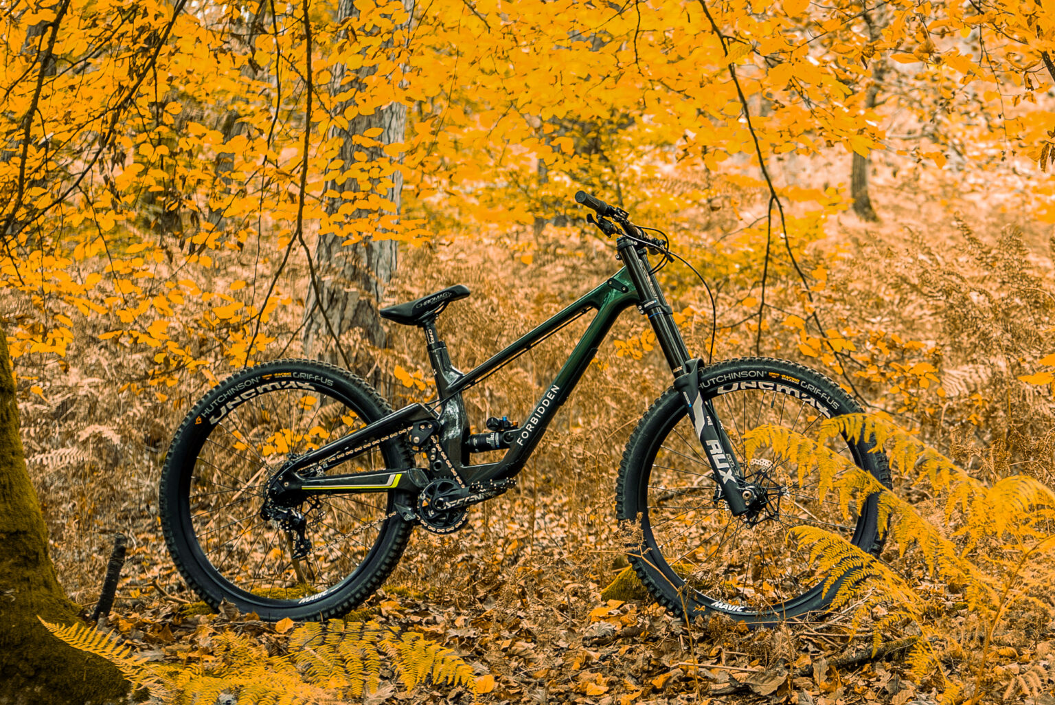 News : Forbidden Bike Company